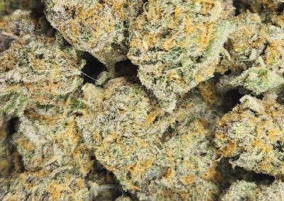 Shop Flower Cannabis Products - Malpek Cannabis - Lennox Island First ...